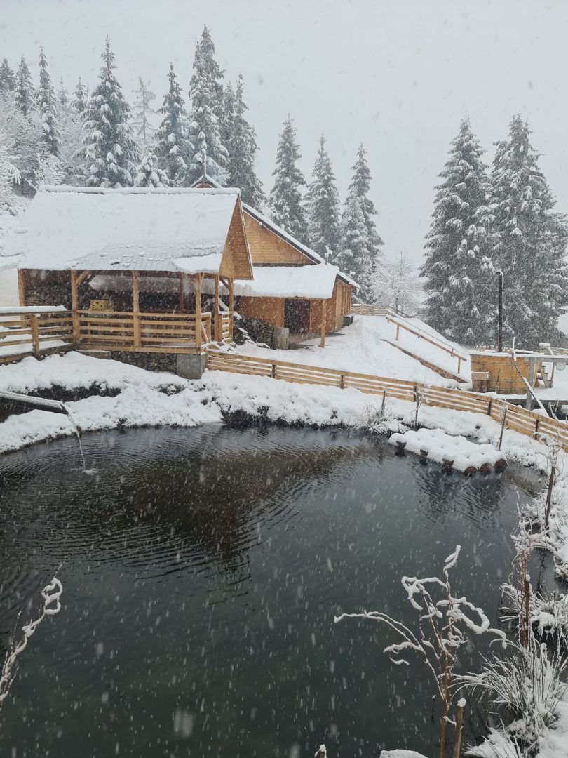 Cabana "Dor de Apuseni" - un proiect din suflet pentru oameni faini ...